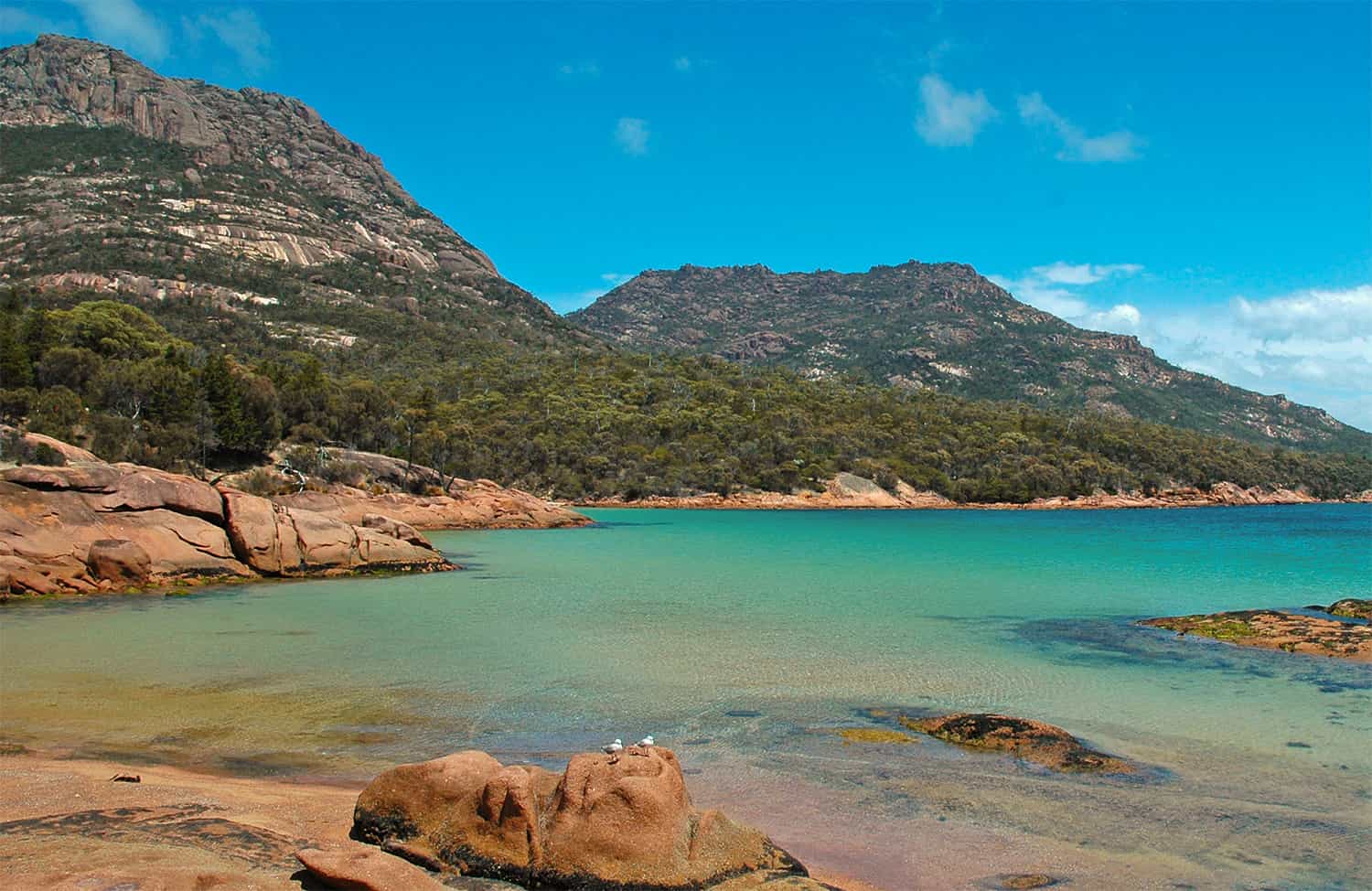 Circuit Voyage en Tasmanie (8 jours) - Voyages individuel et privé en ...